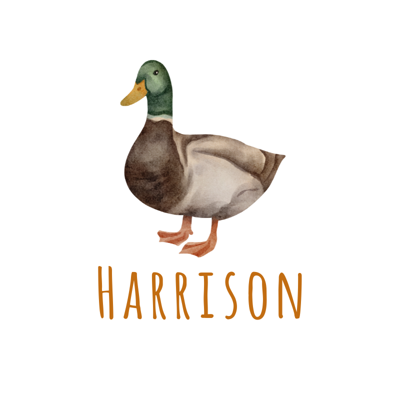 Personalized Bib | Many Mallards – sugar + maple